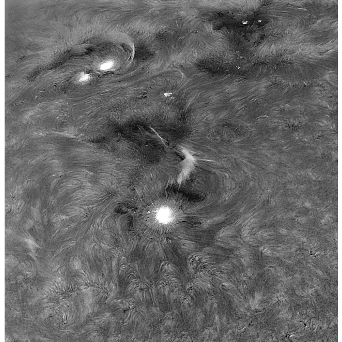 Solar Imaging Experience - Perfect Gift! | First Light Optics